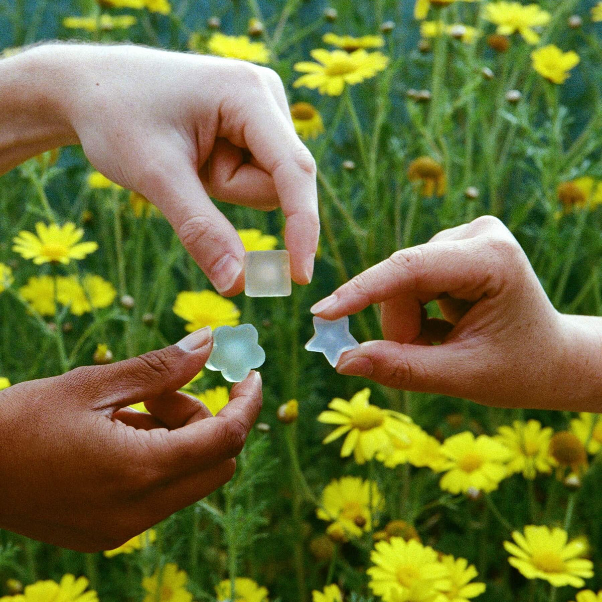 THE TRIO DELUXE SAMPLE BUNDLE: OASIS, BLOOM, & NOVA – DEW MIGHTY